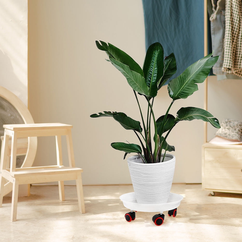 GOOHOCHY Dolly Garden Universal Wheel Flower Pot Tray Indoor Plant Pot ...