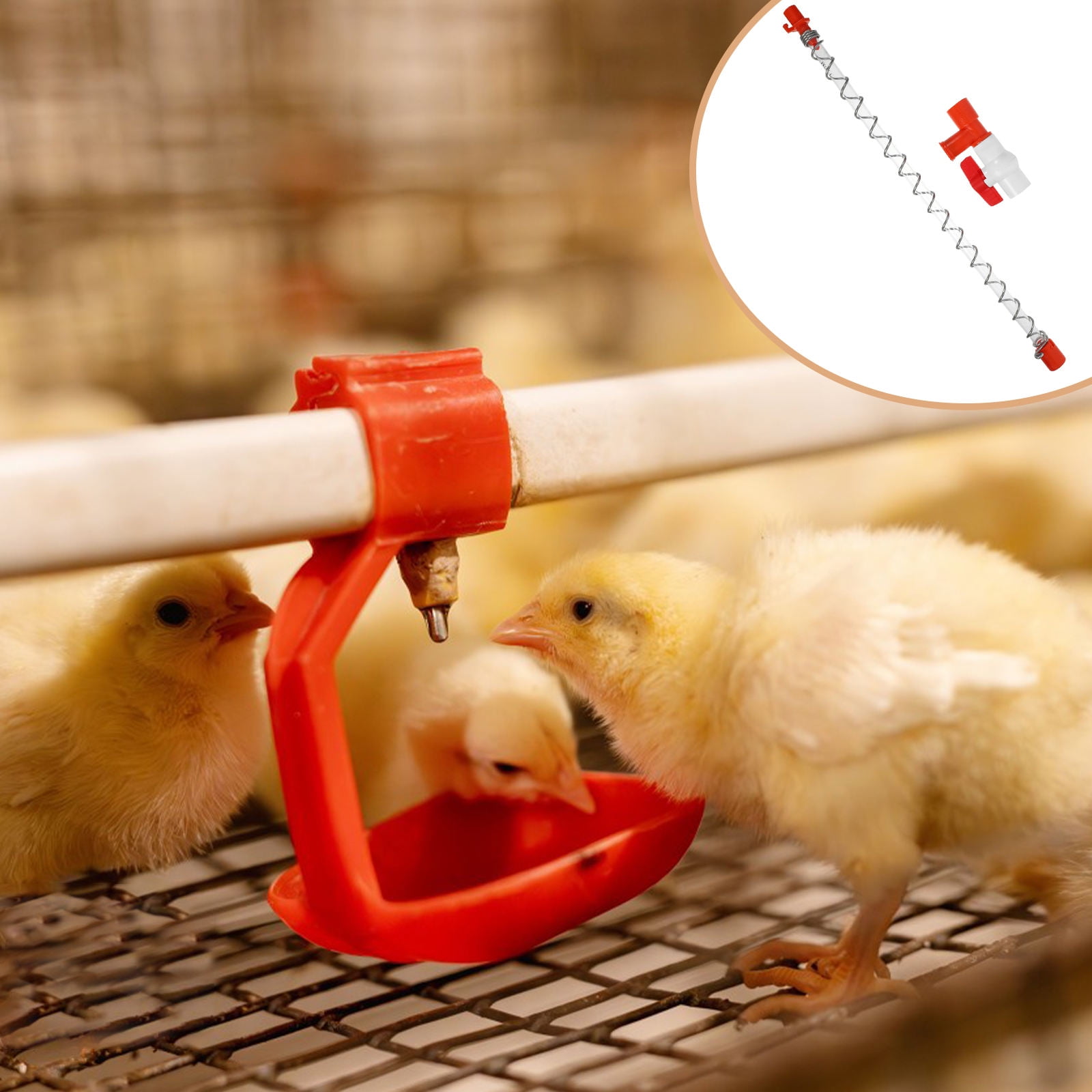 GOOHOCHY End Chicken Water Line Pressure Regulating Valve Baby ...