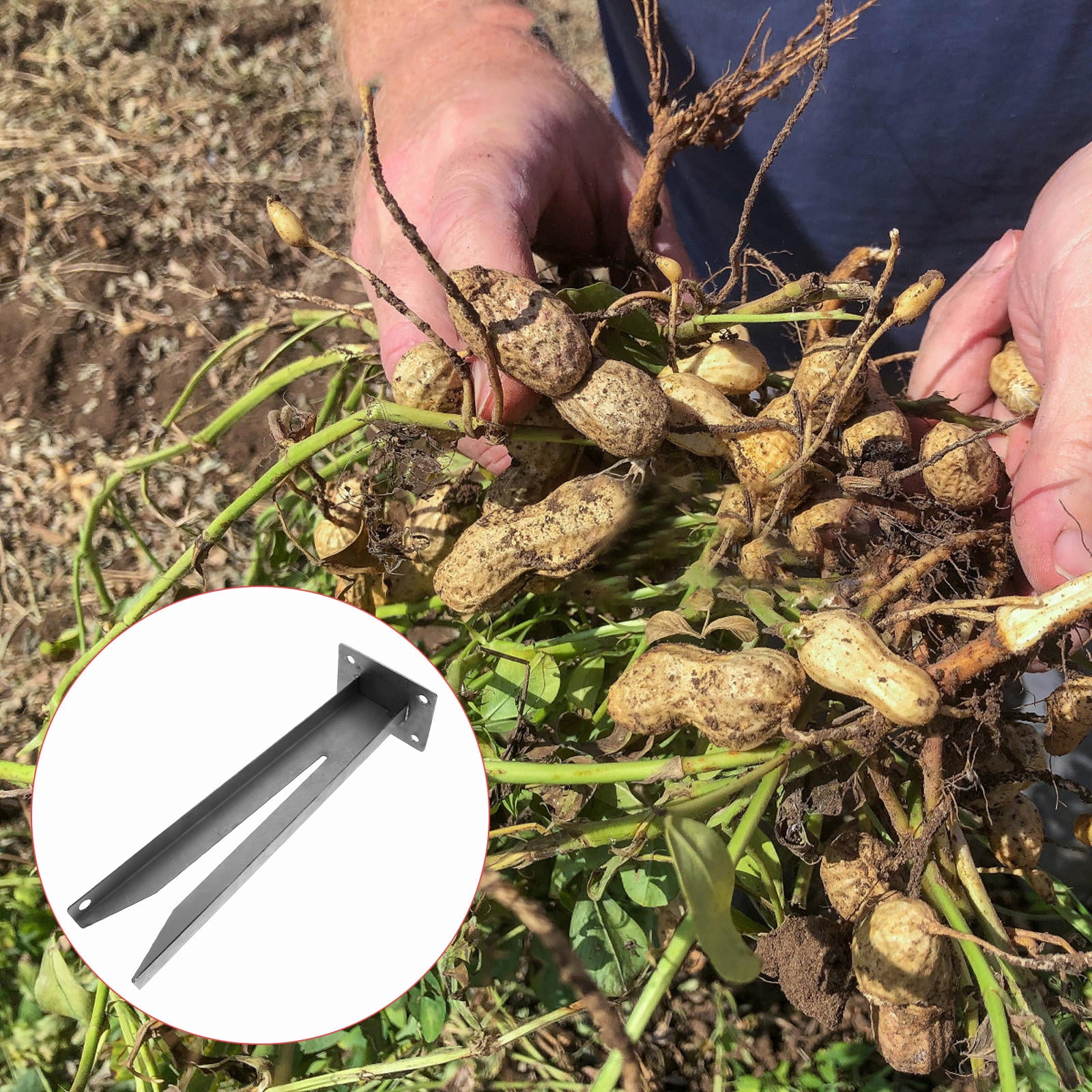 GOOHOCHY Farm Crop Picker Tool Field Peanut Tool Simple Peanut Picker ...