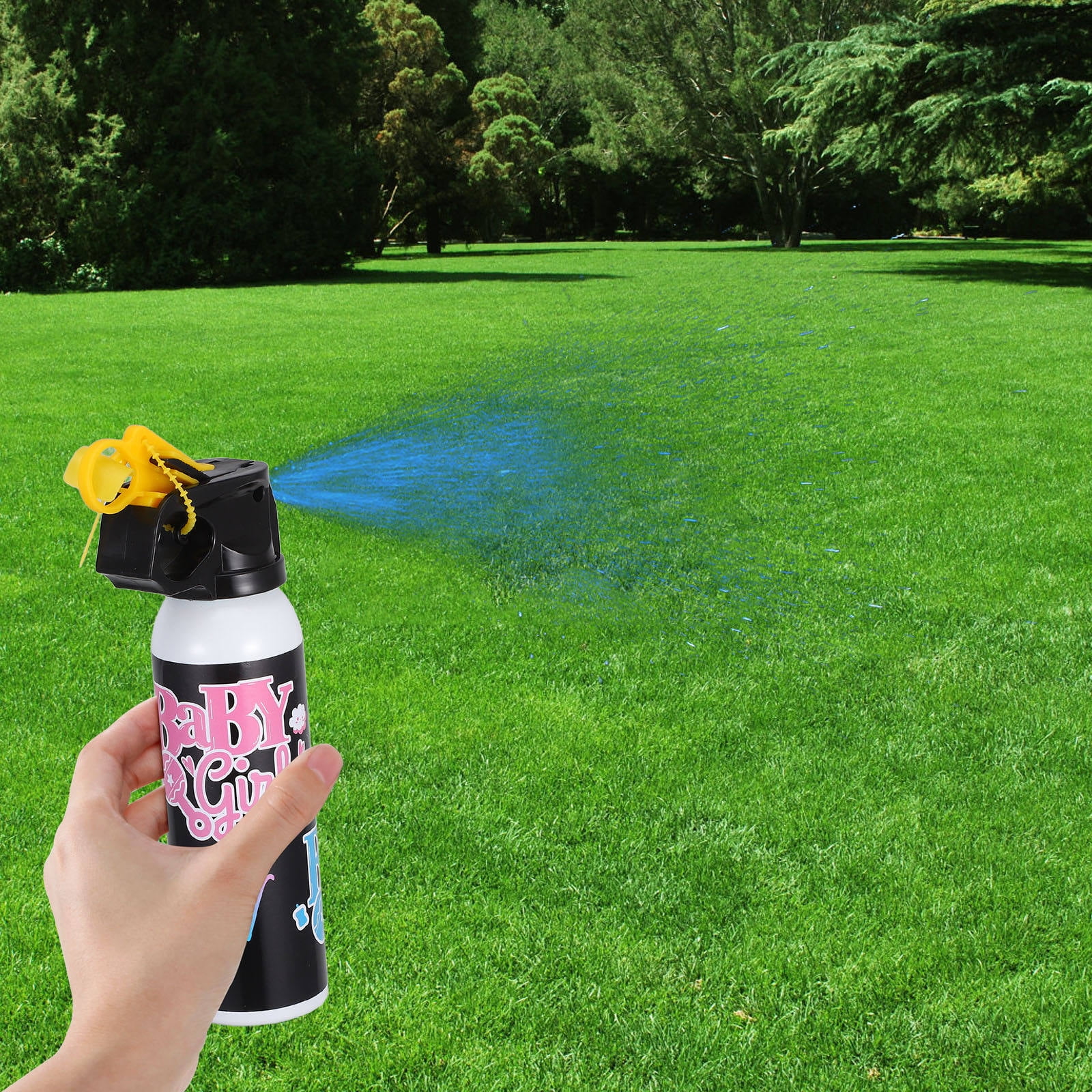 GOOHOCHY Gender Reveal Spray Bottle Party Gender Reveal Powder Gender ...