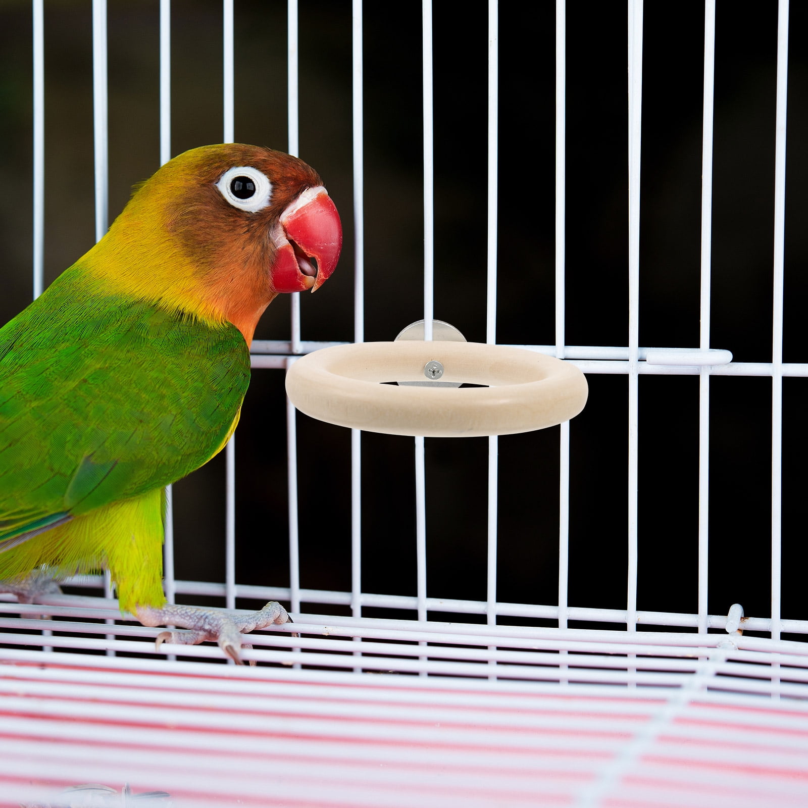 GOOHOCHY HOMEMAXS Round Parrot Perch Stand Toy Bird Platform Wooden ...