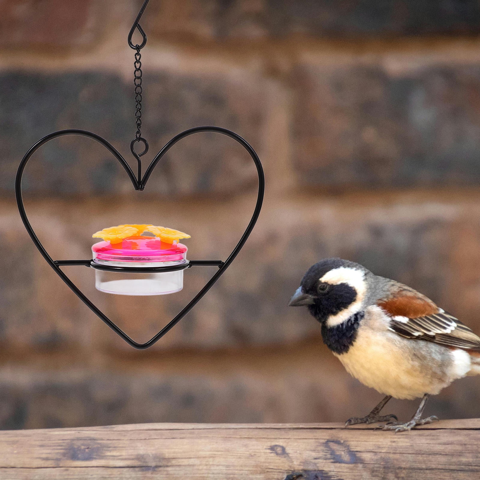 GOOHOCHY Hummingbird Water Feeder Simple Bird Feeder Hanging Birds ...