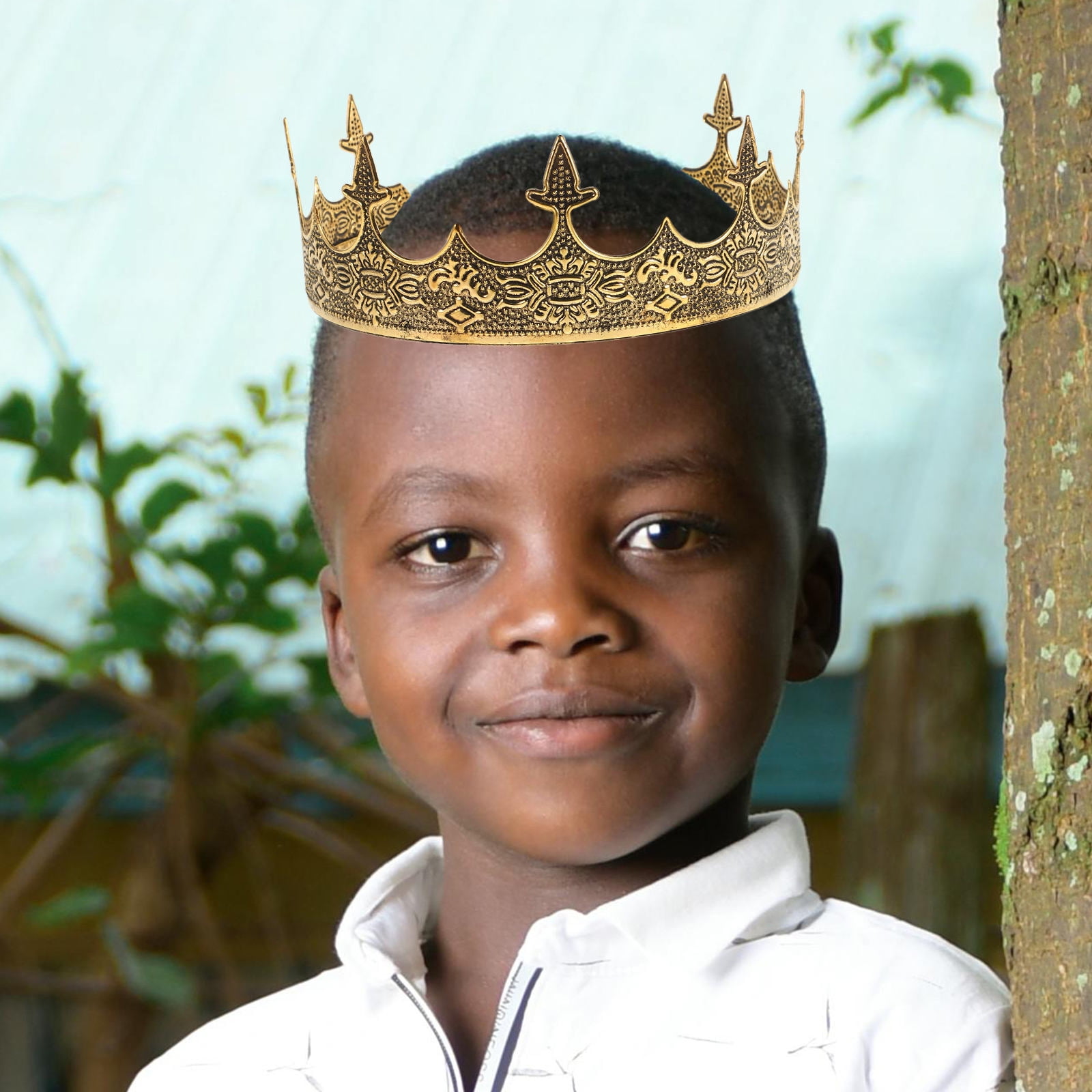 GOOHOCHY King Crown For Crown For Birthday Celebration Birthday Crown ...