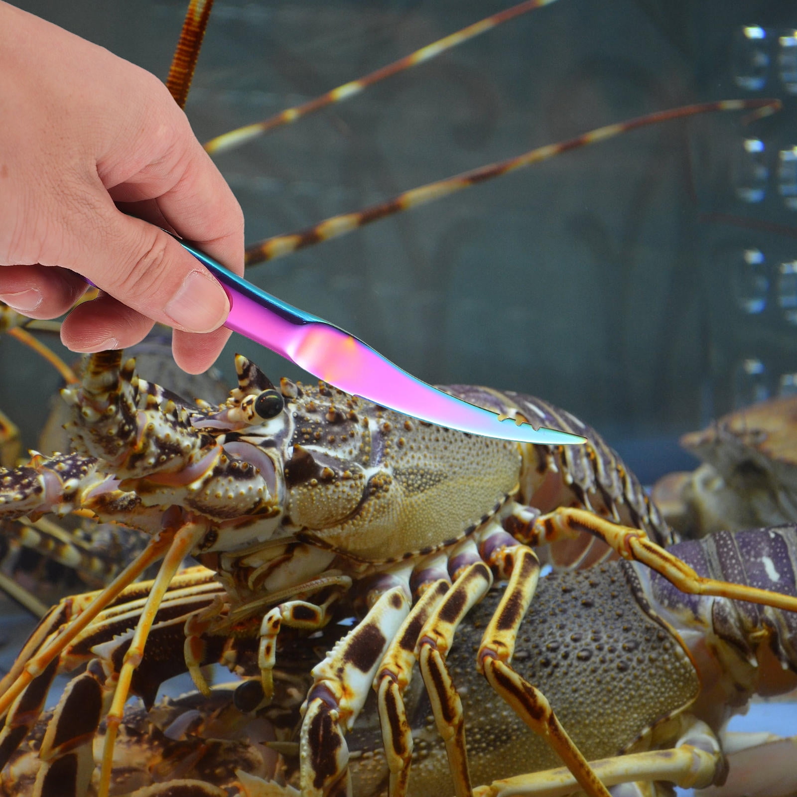 GOOHOCHY Kitchen Gadgets Shrimp Knife Kitchen Shrimp Tool Shrimp ...