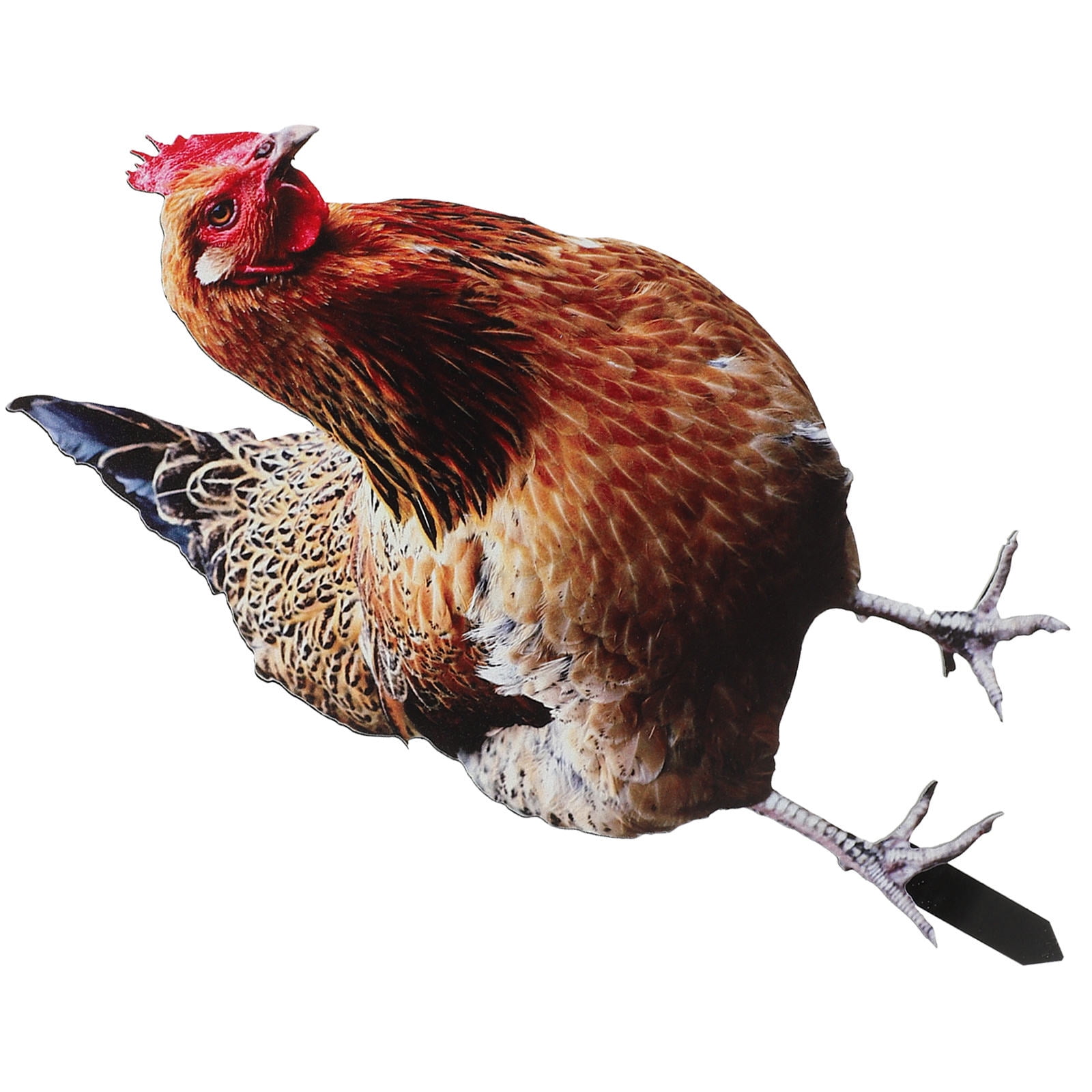 GOOHOCHY Lawn Ornament Chicken Stake Sign Decorative Garden Stakes ...