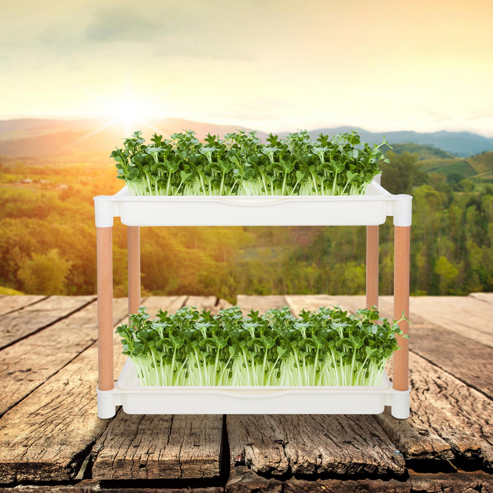 GOOHOCHY Microgreens Growing Tray Double Layer Sprouting Tray ...