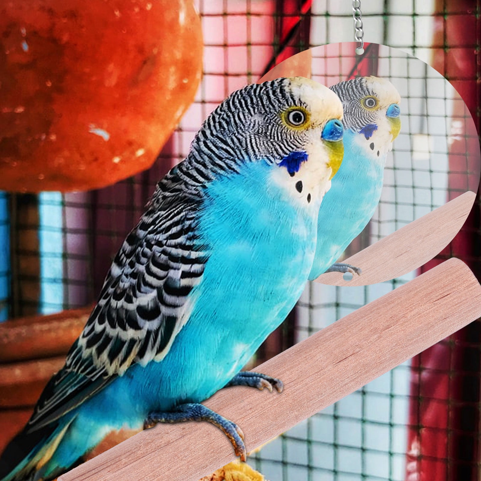 GOOHOCHY Parrots Perch Stainless Steel Bird Cage Stand Durable Bird Toy ...