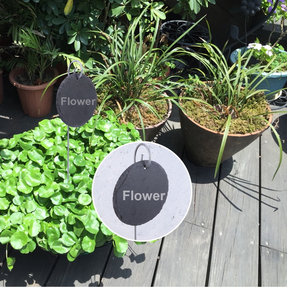 GOOHOCHY Plant Label Natural Style Round Iron Hanging Greenhouse Sign ...