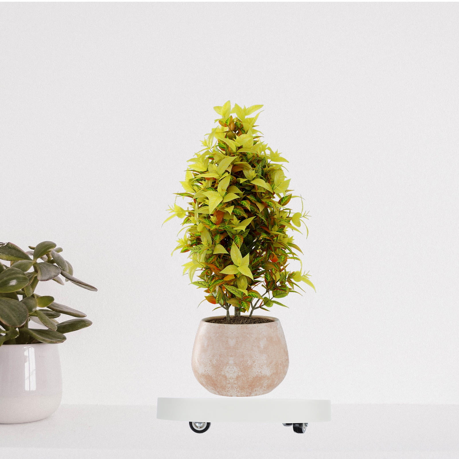 GOOHOCHY Plant Universal Wheel Flower Pot Base Vase Holder - Walmart.com