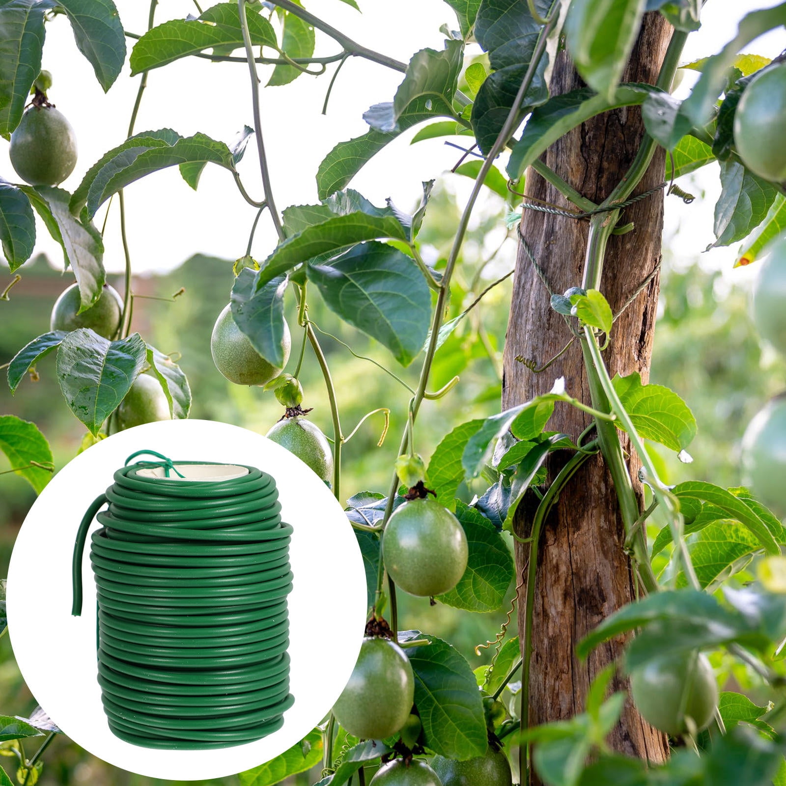 GOOHOCHY Plastic Binding Wire Twist Ties Plant for Climbing Plants ...