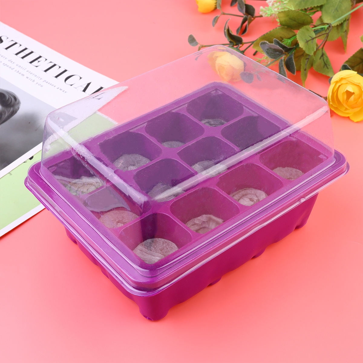 GOOHOCHY Purple Plastic Sprouter Tray for Planting Healthy Vegetable ...