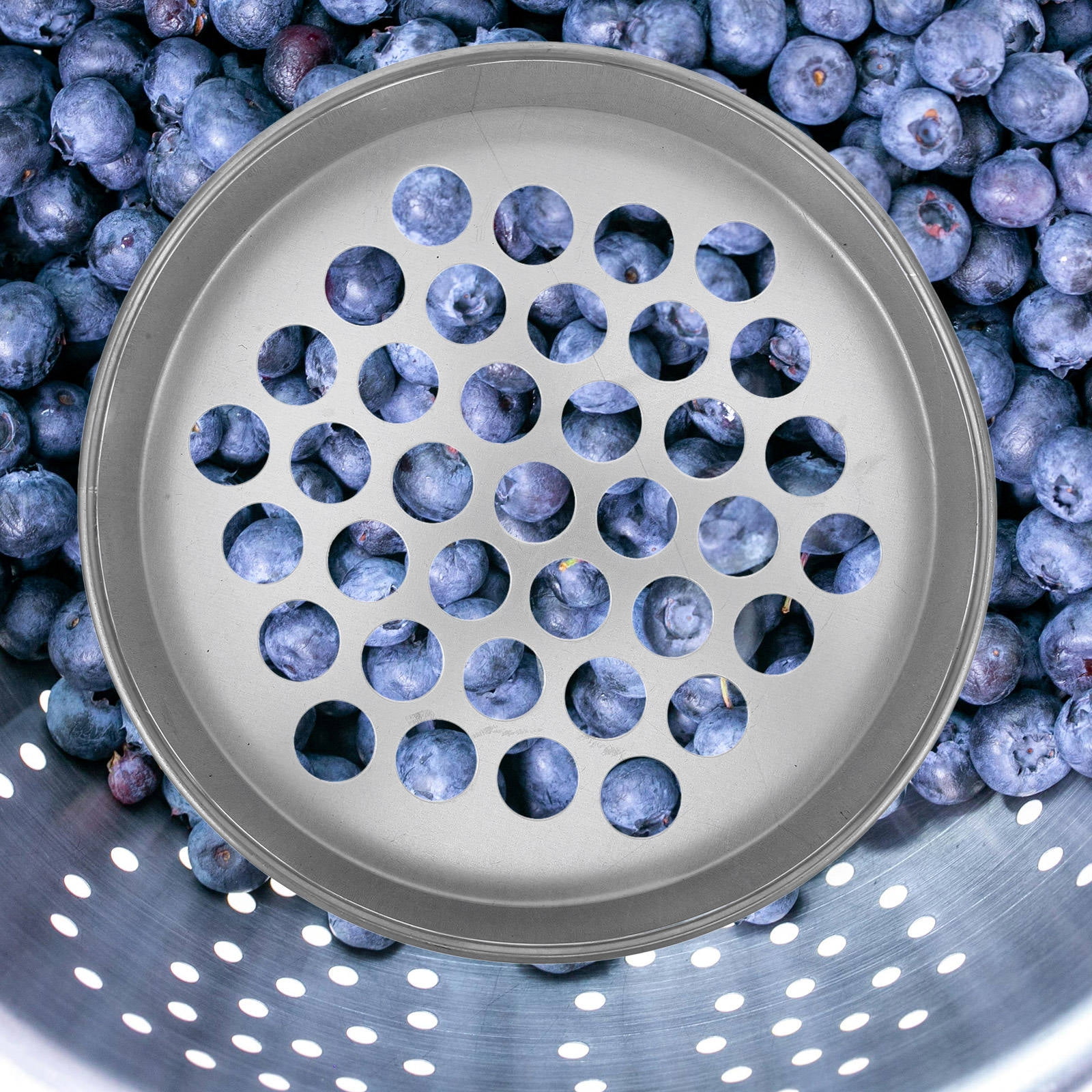 GOOHOCHY Stainless Steel Blueberry Sieve Round Mesh Sieve Blueberry Sieve Home Sieve Blueberry ...