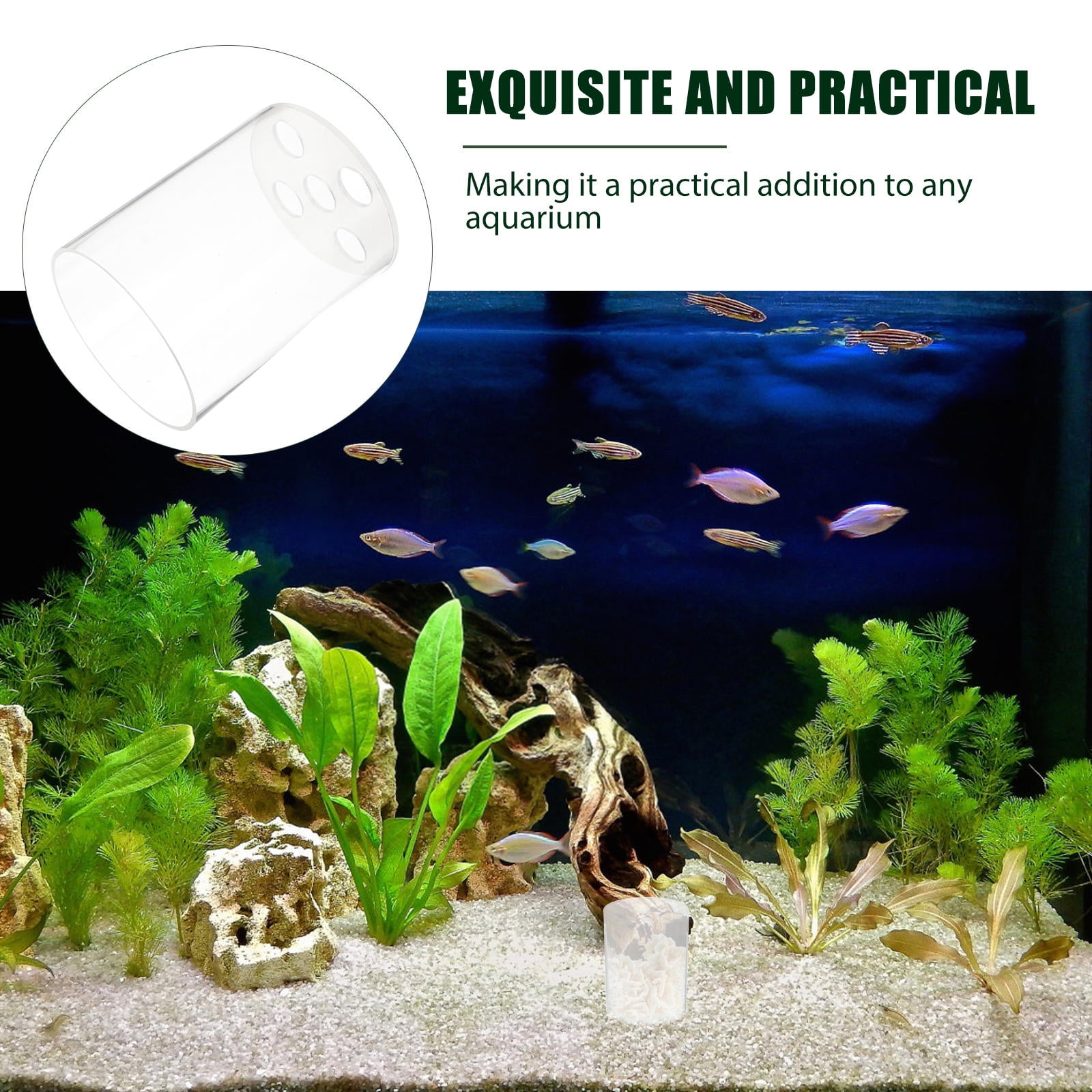 GOOHOCHY Transparent Coral Feeding Breeding Protector Acrylic ...