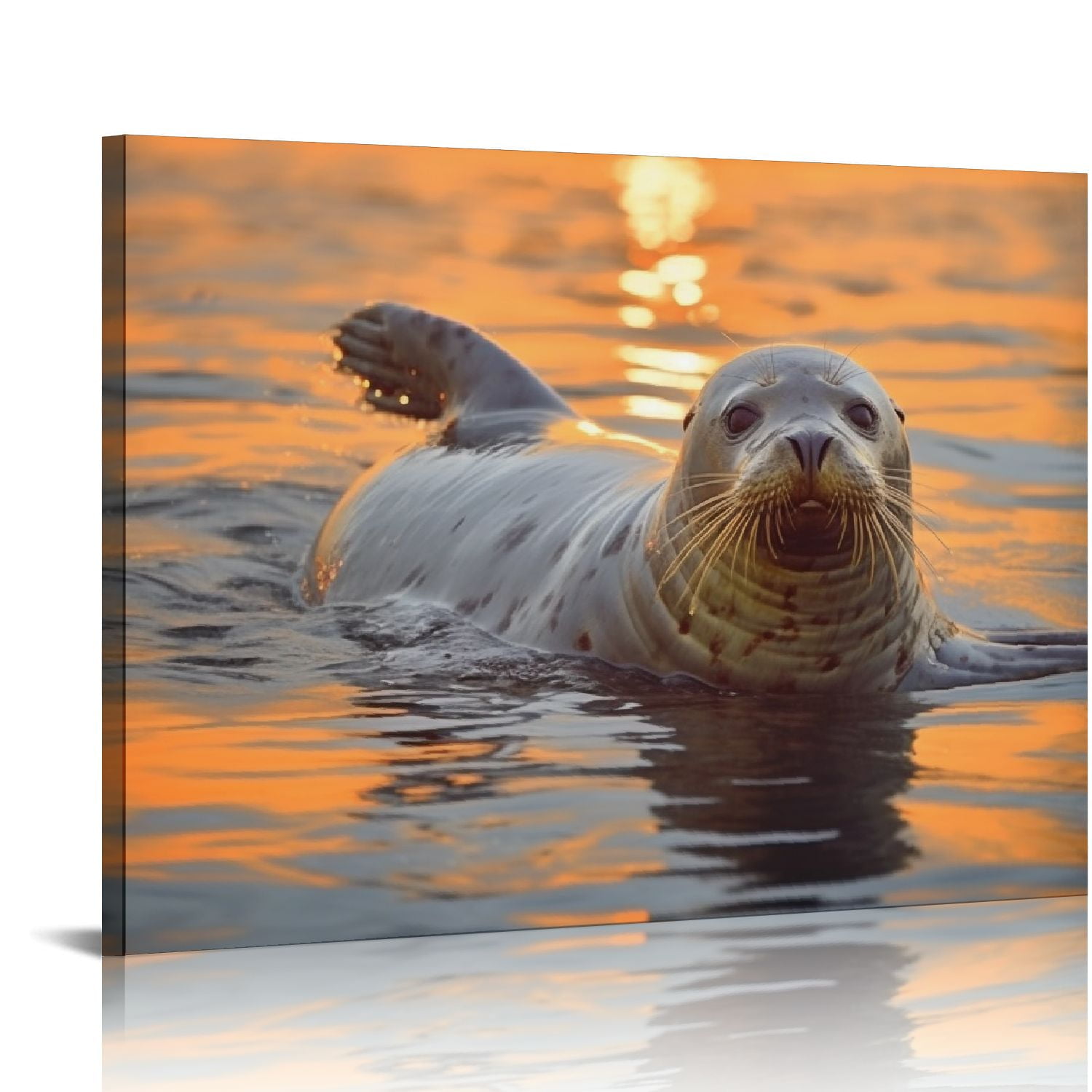 GOSMITH Animal Posters Seal Pictures Wall Decor Canvas Wall Art For ...