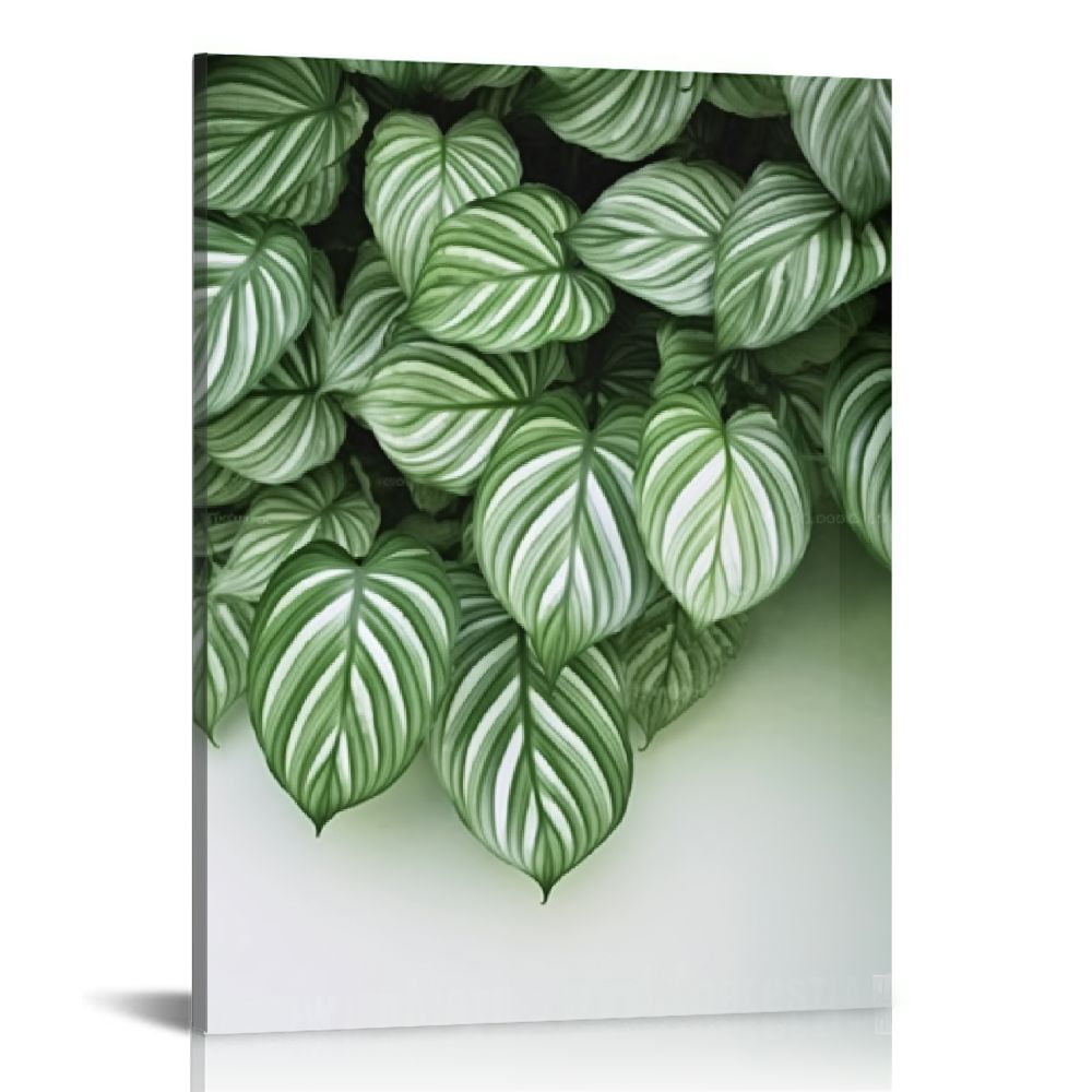 GOSMITH Botanical Plant Wall Art Prints Succulent Plant Wall Decor ...