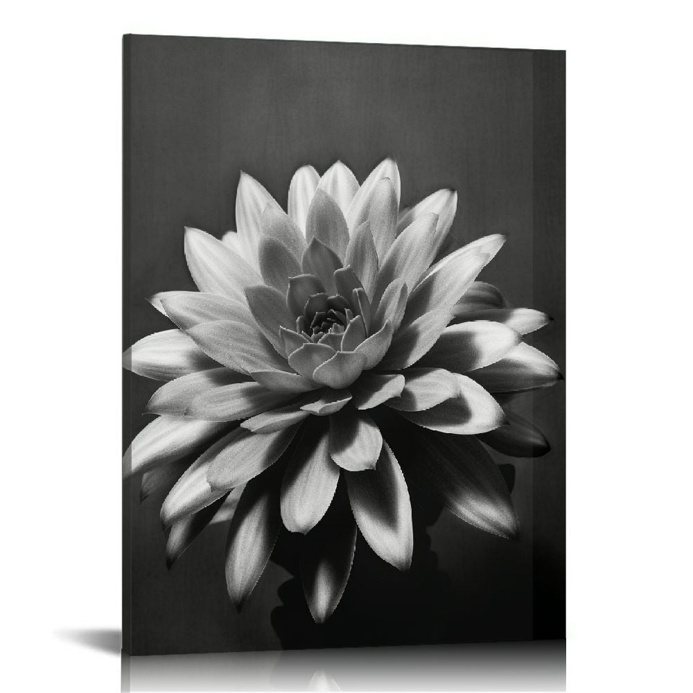 GOSMITH Canvas Print Wall Art Grayscale Black Rose Succulent Floral ...