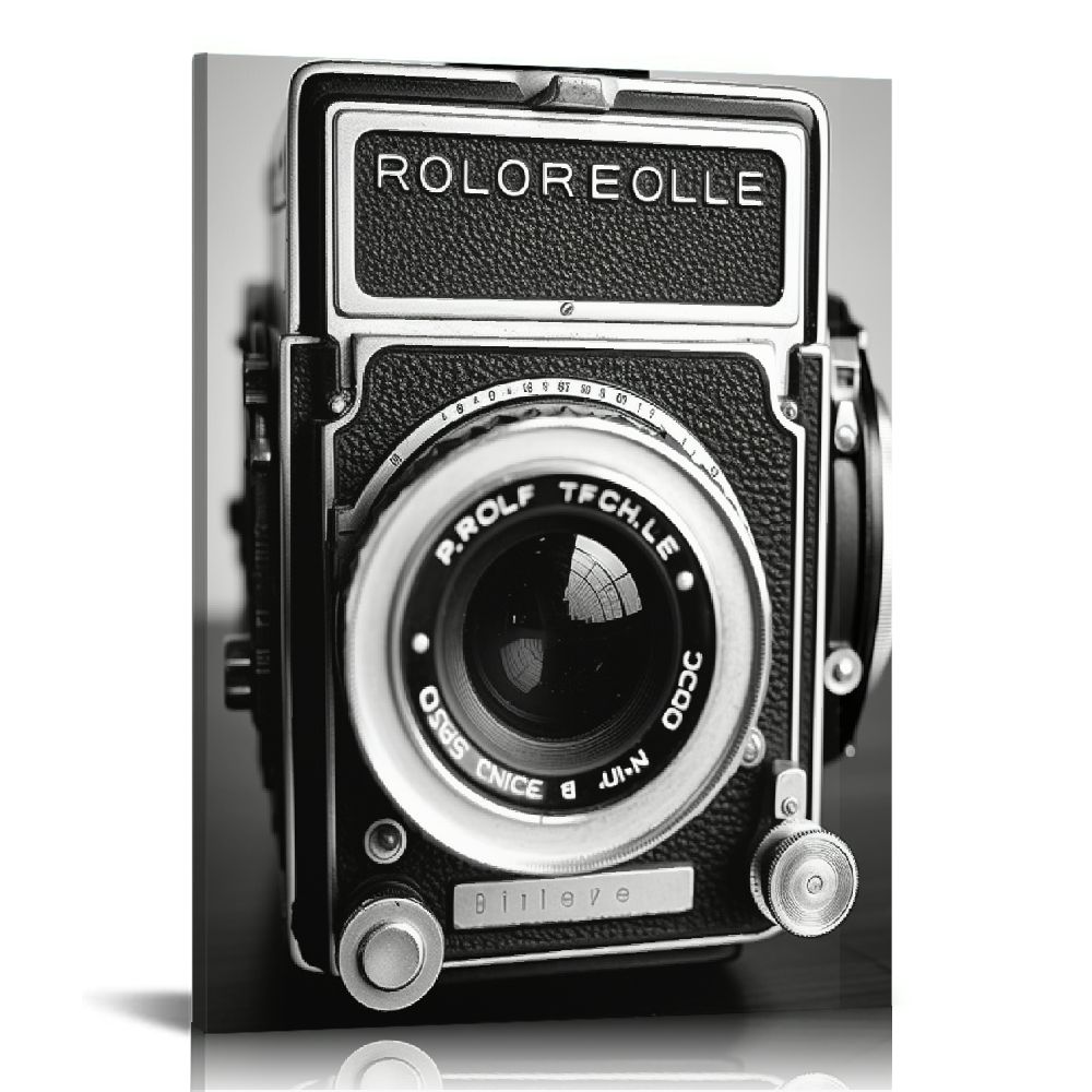 GOSMITH Canvas Wall Art Black And White Retro Camera Canvas Print Artwork Modern Wall Art ...