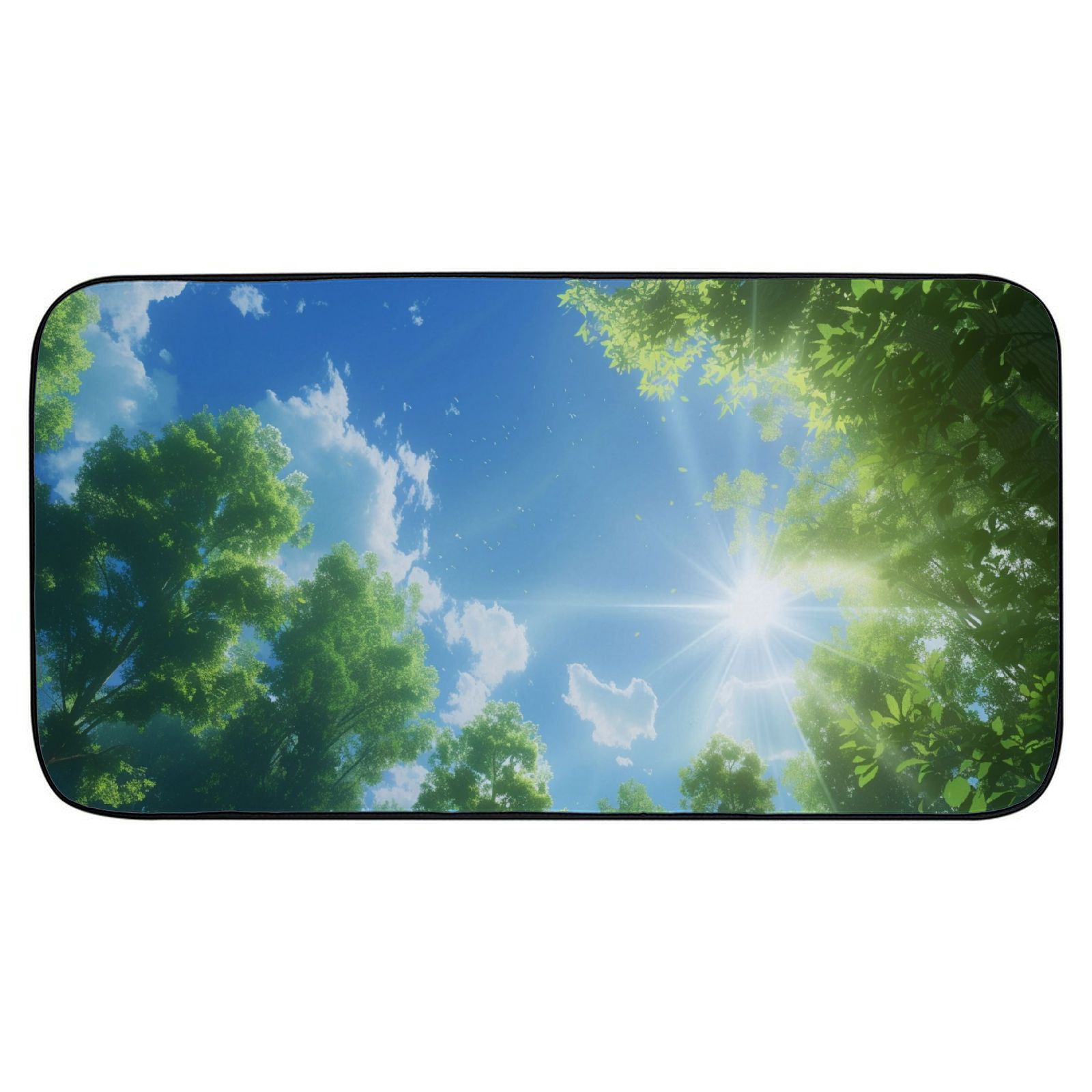 GOSMITH Door Mats Non-Slip Durable Entrance Mat Blue Sky Sunshine ...