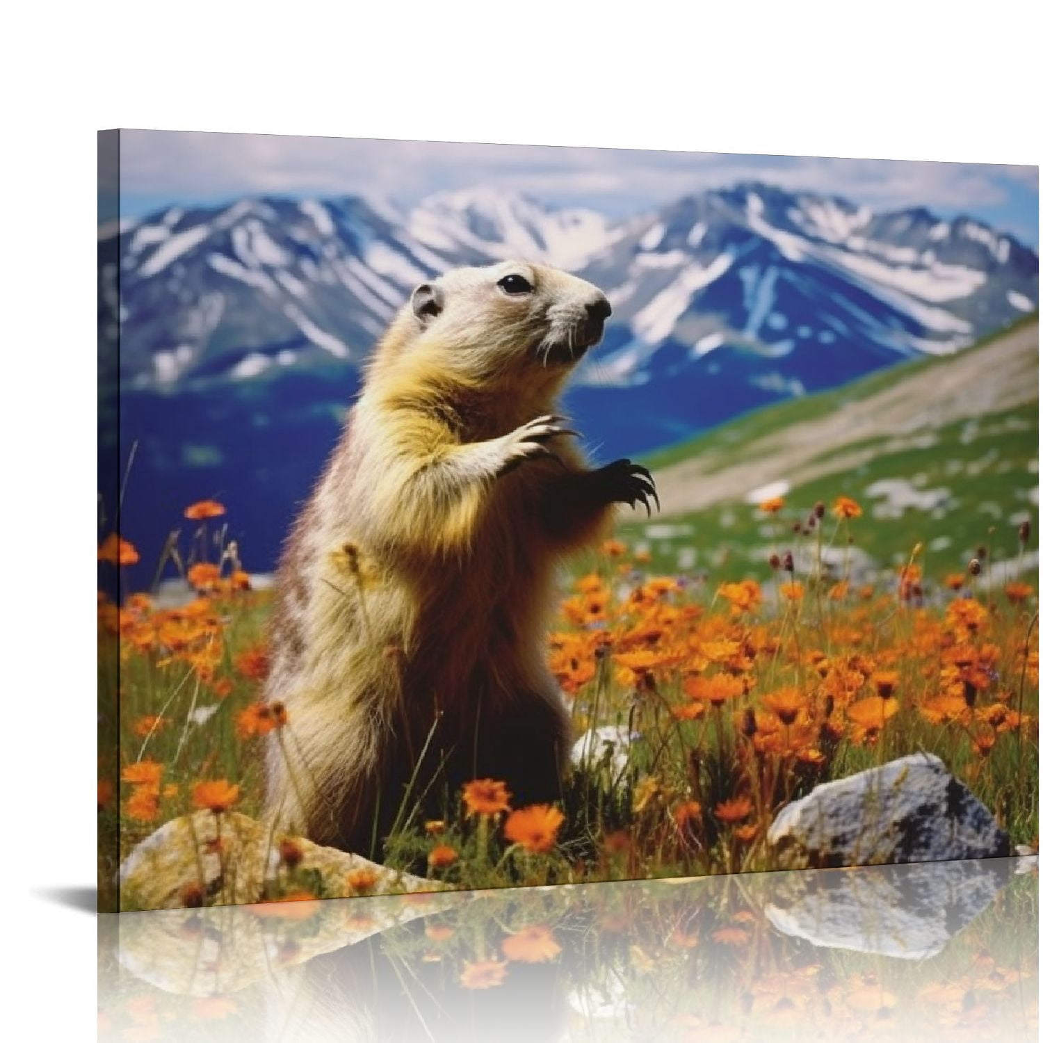 GOSMITH Groundhog Poster Wildlife Animal Canvas Painting Posters Print ...