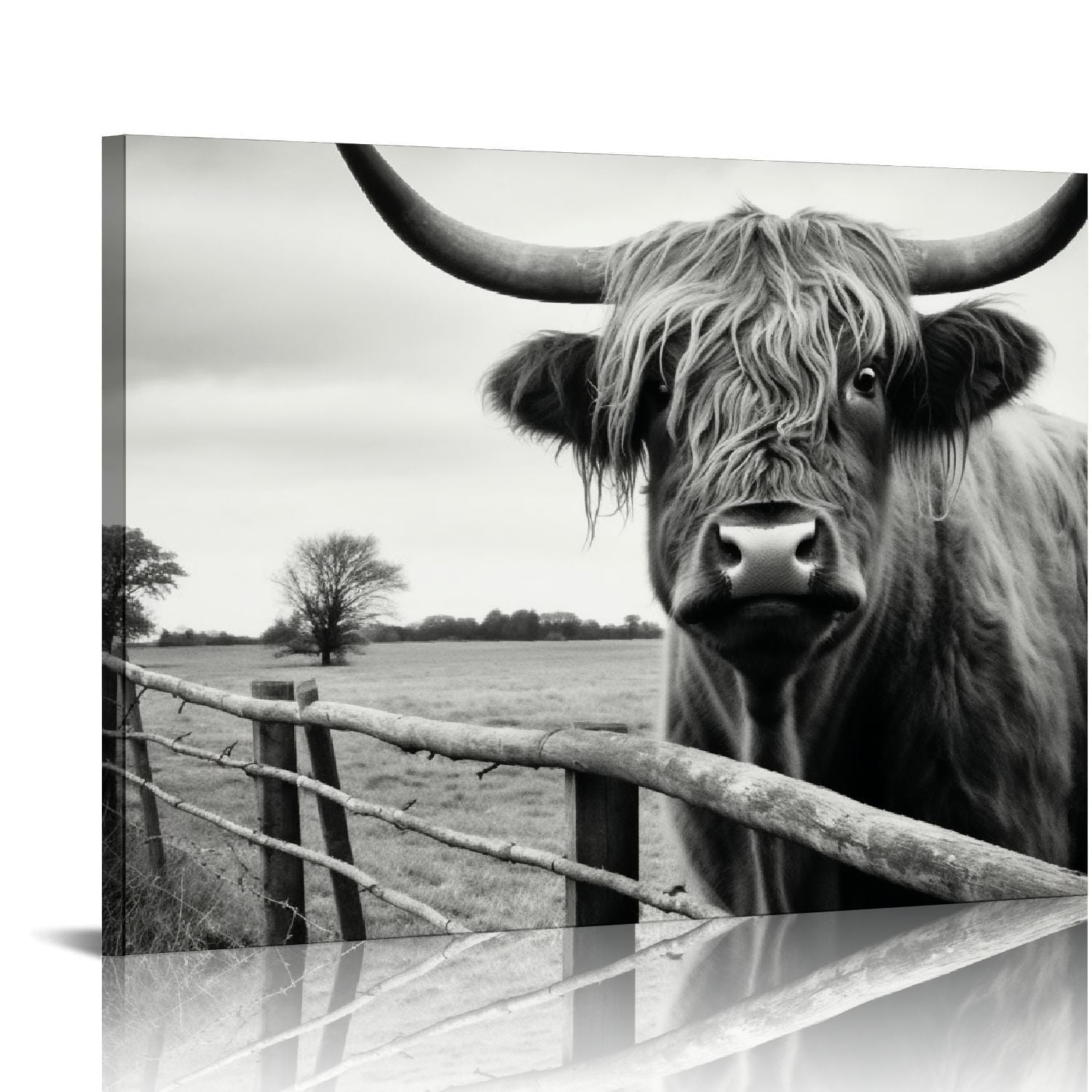 GOSMITH Highland Cow Canvas Black and White Landscape Pasture Hairy Cow ...
