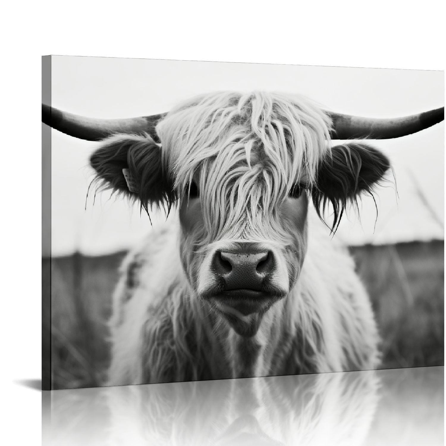 GOSMITH Highland Cow Canvas Wall Art Black and White Animal Wall Art ...