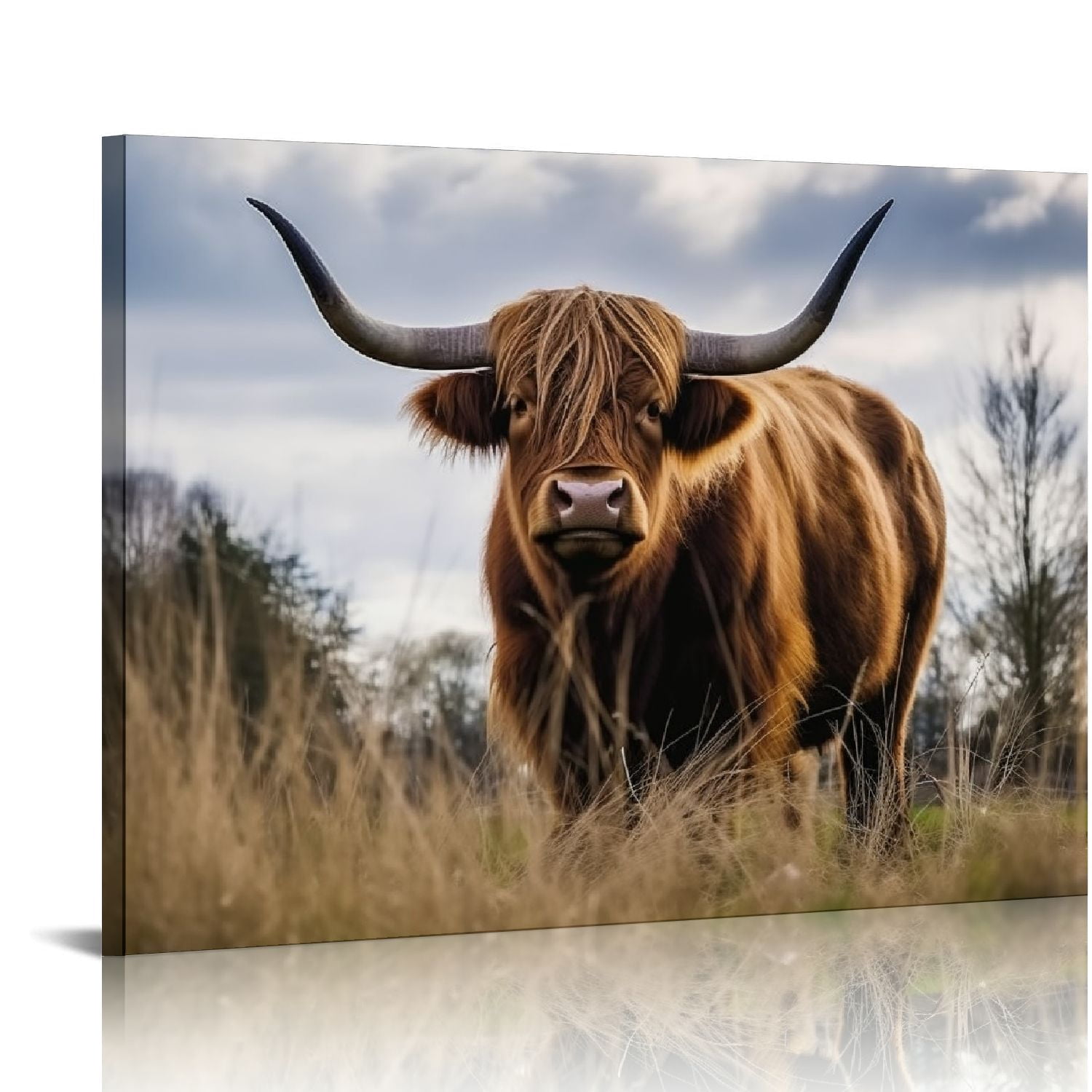 GOSMITH Highland Cow Wall Art Canvas Wall Art Animal Poster Farmhouse ...