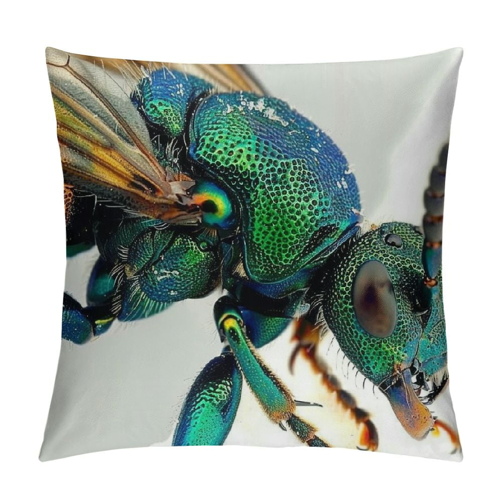 GOSMITH Throw Pillow Cover - Cuckoo Wasp Insect Macro Profile Mounted ...