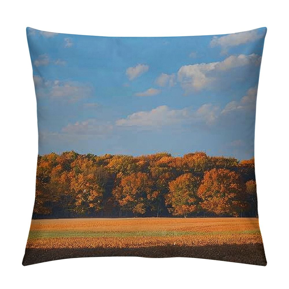 GOSMITH Throw Pillow Cover- Deciduous Forest Indian Summer Forest ...