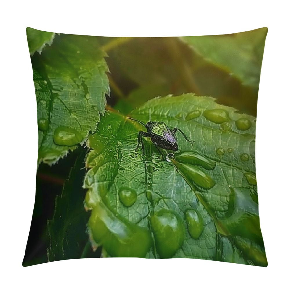GOSMITH Throw Pillow Cover - Fly Insect After The Rain Damp Leaves ...