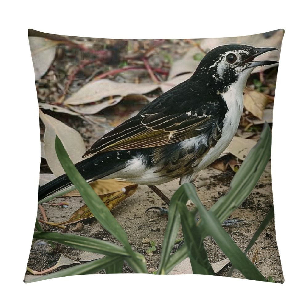 GOSMITH Throw Pillow Cover- Mudlark Australian Magpie-Lark Wildlife ...