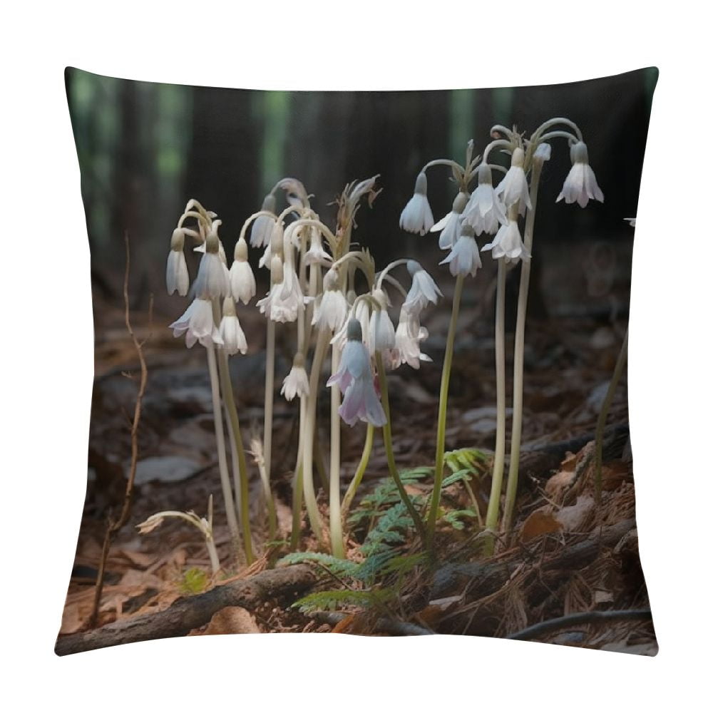 GOSMITH Throw Pillow Cover - Mushroom Indian Pipe Fungi Close Fungus ...