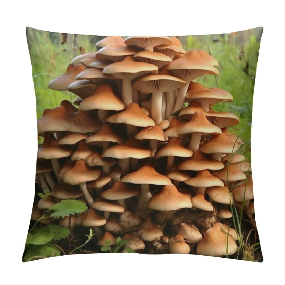 GOSMITH Throw Pillow Cover Mushrooms Nature Forest Natural Fungus Fungi ...