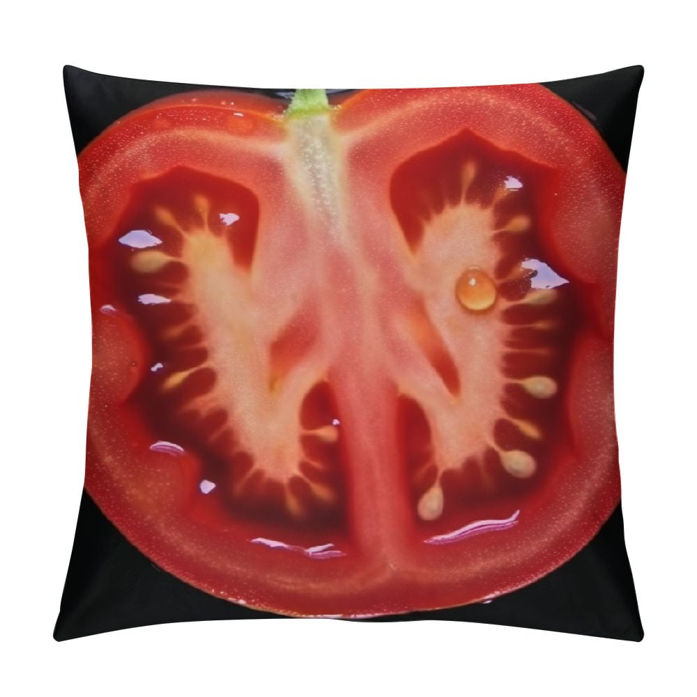 GOSMITH Tomato Slice Four Seasons Universal Throw Pillow Cover Bed Sofa ...