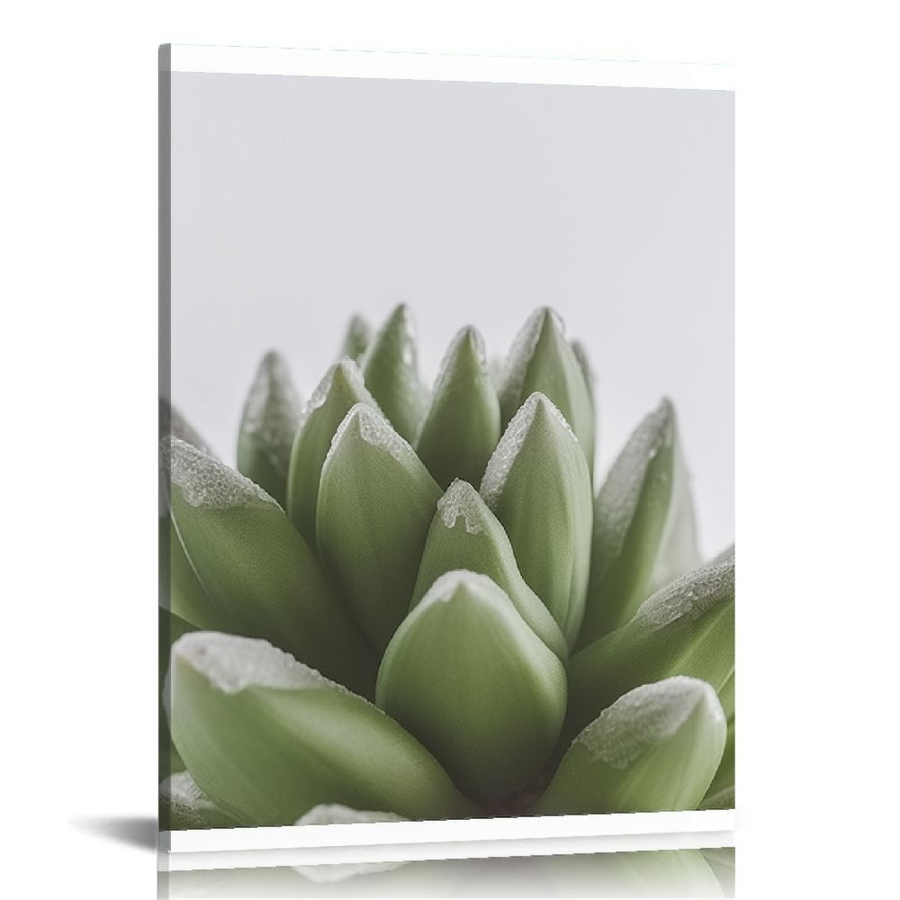 GOSMITH Wall Art Collage Print Gallery Cactus, Succulent and Banana ...
