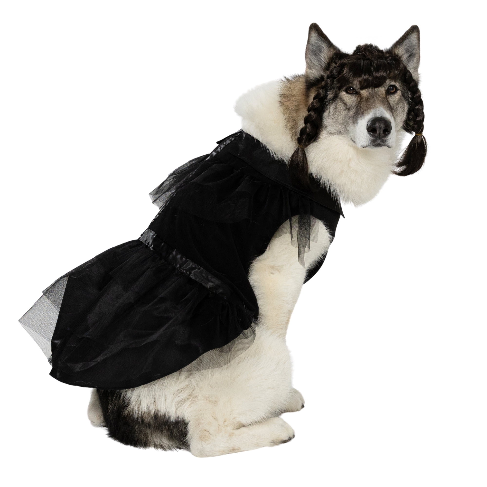 Vibrant Life Halloween Gothic Girl Costume for Dogs, Black, Extra Large ...