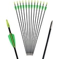 GPP 12PK 28'' Fiberglass Field Tip Archery Arrows - Practice & Youth ...