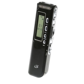 Electronic Voice Box