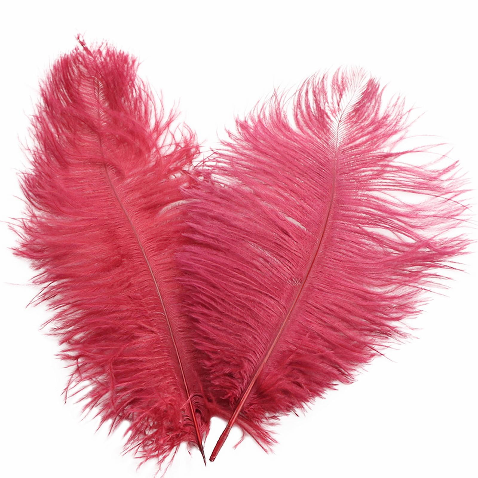GQDIN Natural Colorful Ostrich Feathers 12-14inch (30-35cm) for Wedding ...