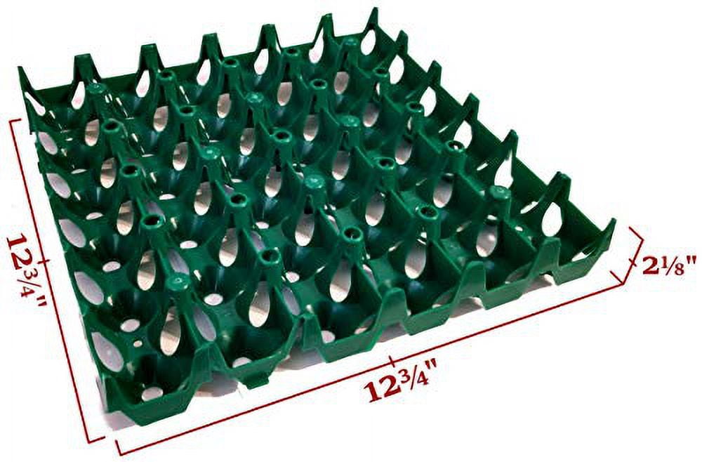 GQF Large Egg Setting Tray - Walmart.com