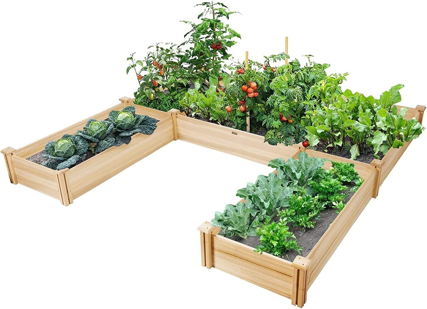 GRAFFY U-Shaped Wooden Raised Garden Beds Outdoor, Wood Elevated ...