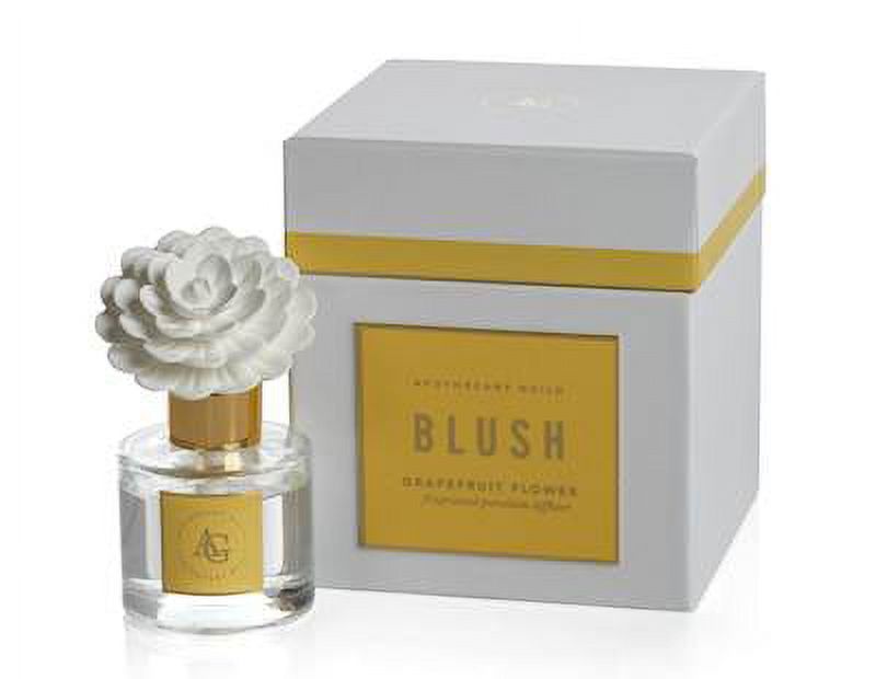 GRAPEFRUIT Zodax Blush Porcelain Diffuser - Walmart.com