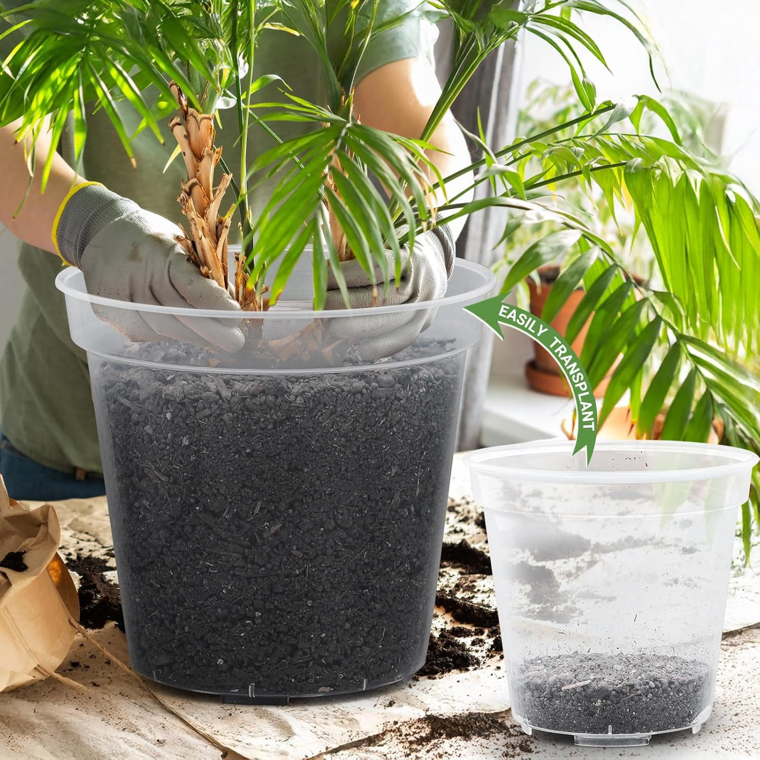 GREANER Clear Plastic Plant Pots, Plastic Planter with Drainage Holes ...