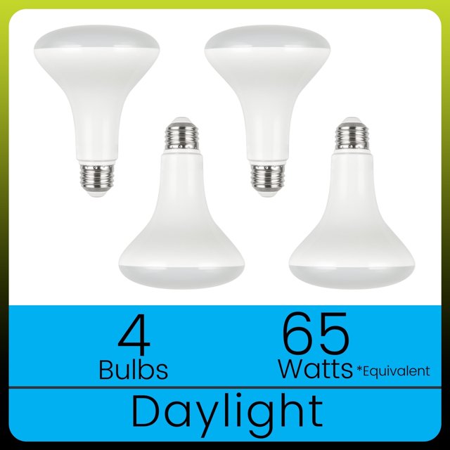 Green Watt BR30 LED Flood Light Bulbs, 11-Watt (65W Equivalent ...