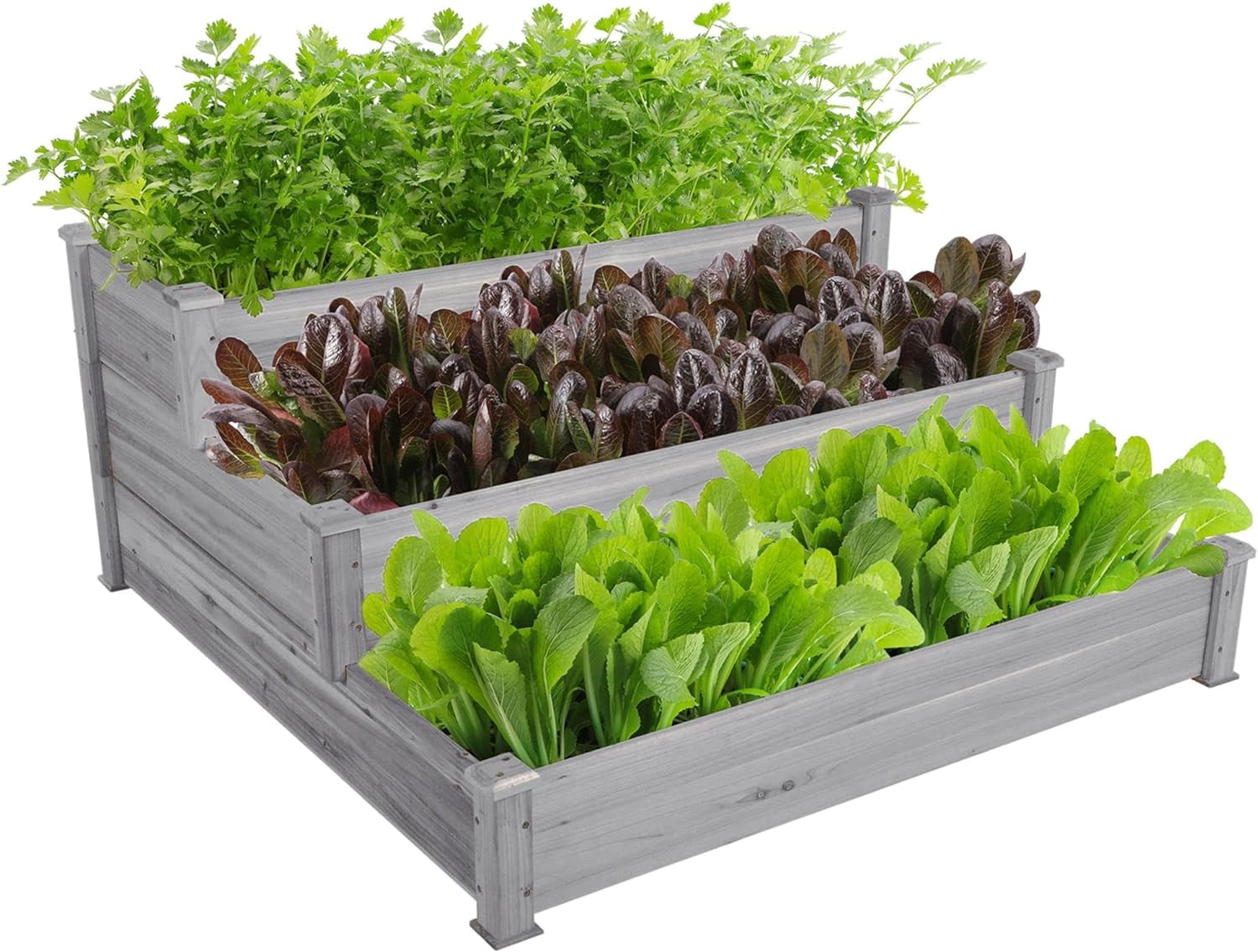 GREOKL 3 - Tier Elevated Wood Garden Bed | Premium Wooden Garden Box ...