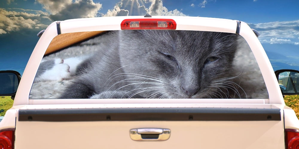 Cat decal for rear window store
