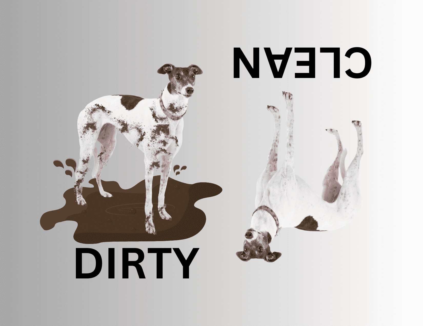 GREYHOUND Clean Dirty Dishwasher Flexible Magnet - Walmart.com