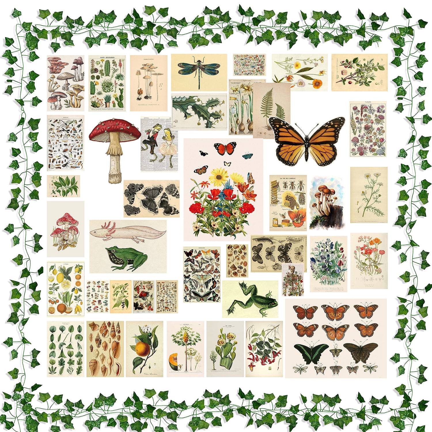 GROBRO7 Vintage Nature Collages for Wall Supplies, Retro Flower ...