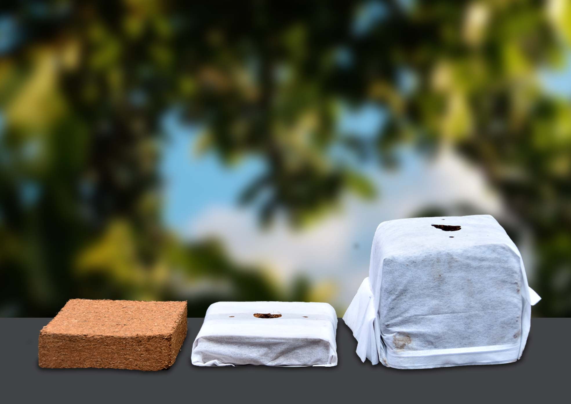 GROEZY™ 3" COCO GROW CUBES (CULTIVATION BLOCKS) - Walmart.com