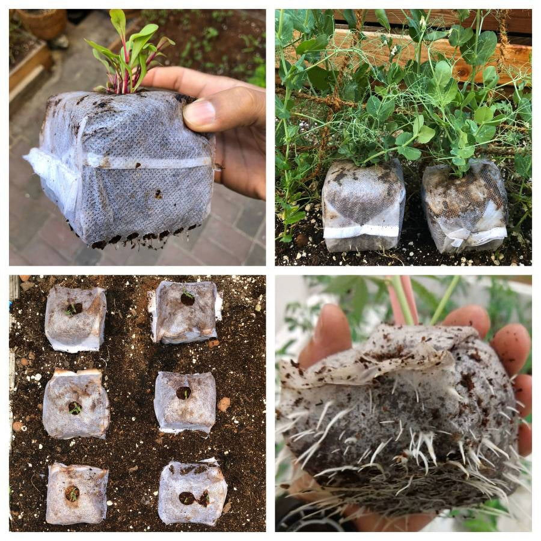 GroEzy 4" Coco Grow Cubes, Cultivation Blocks, 150 Units, Compressed ...