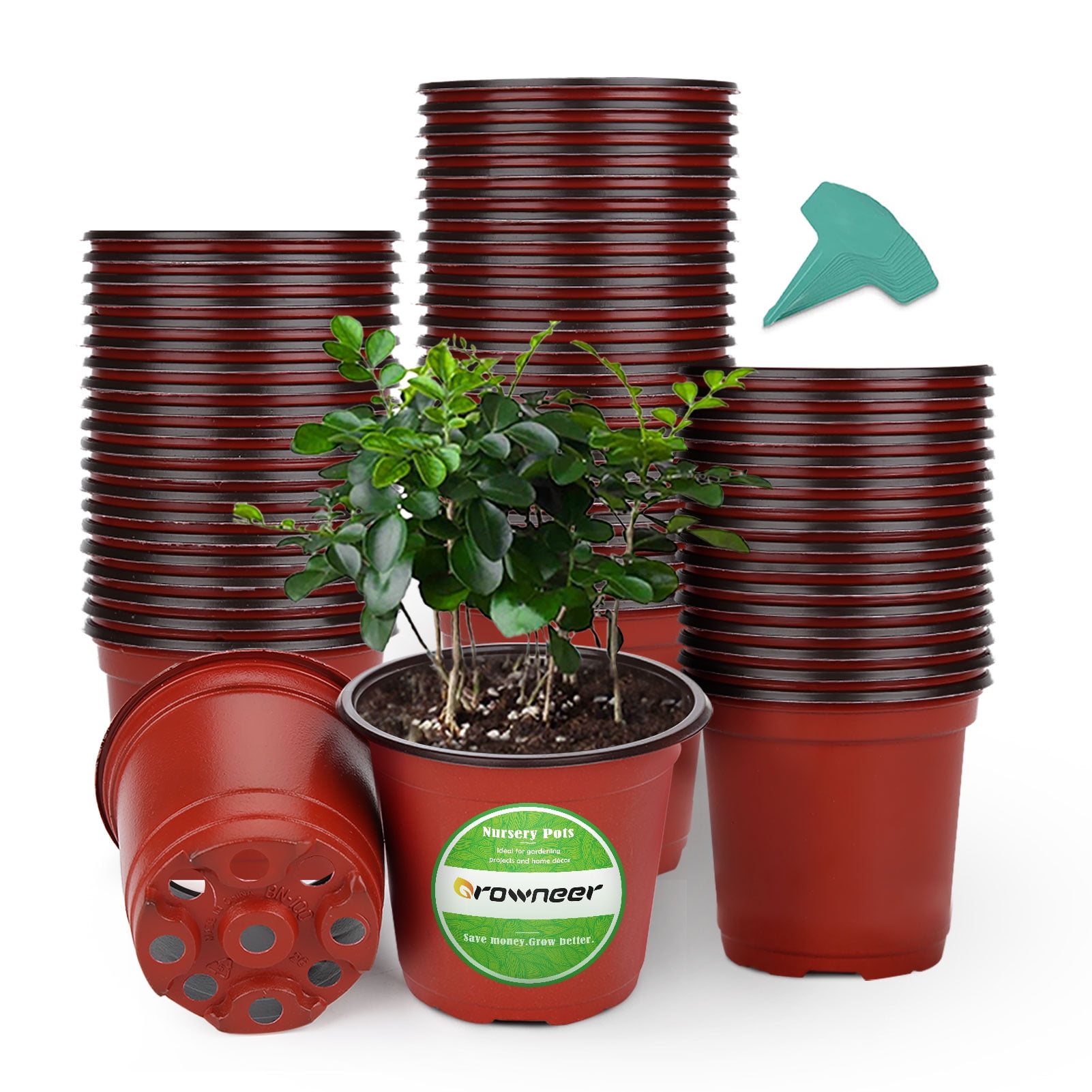 GROWNEER 60 Packs 6 Inches Plastic Plant Nursery Pots with 15 Pcs Plant ...